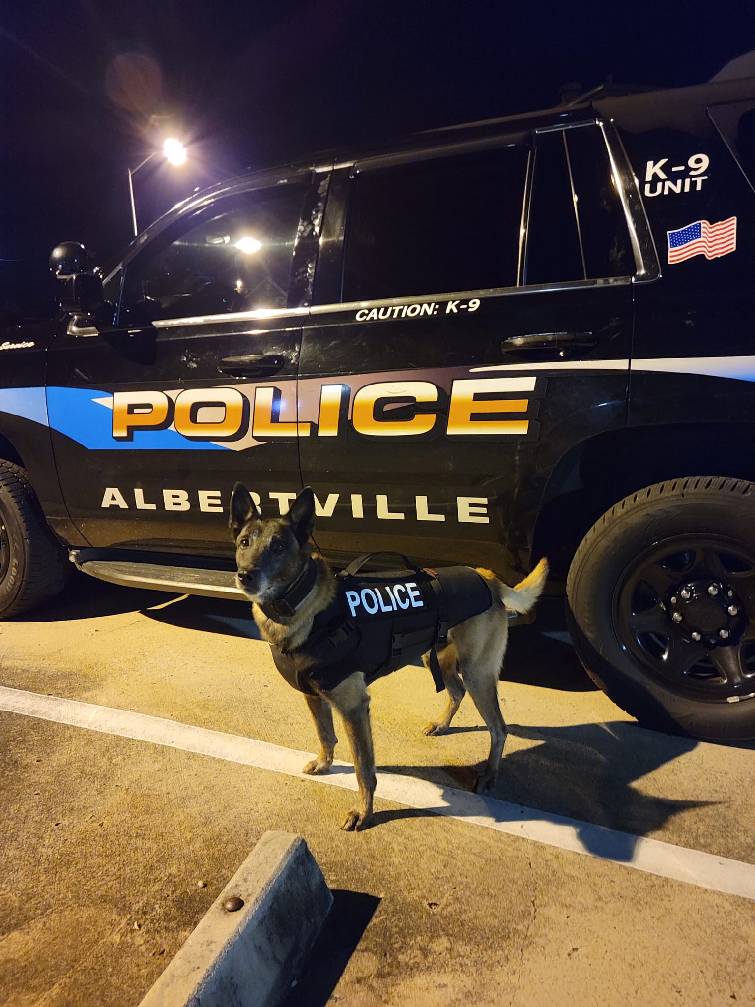 Albertville, AL | Official Website